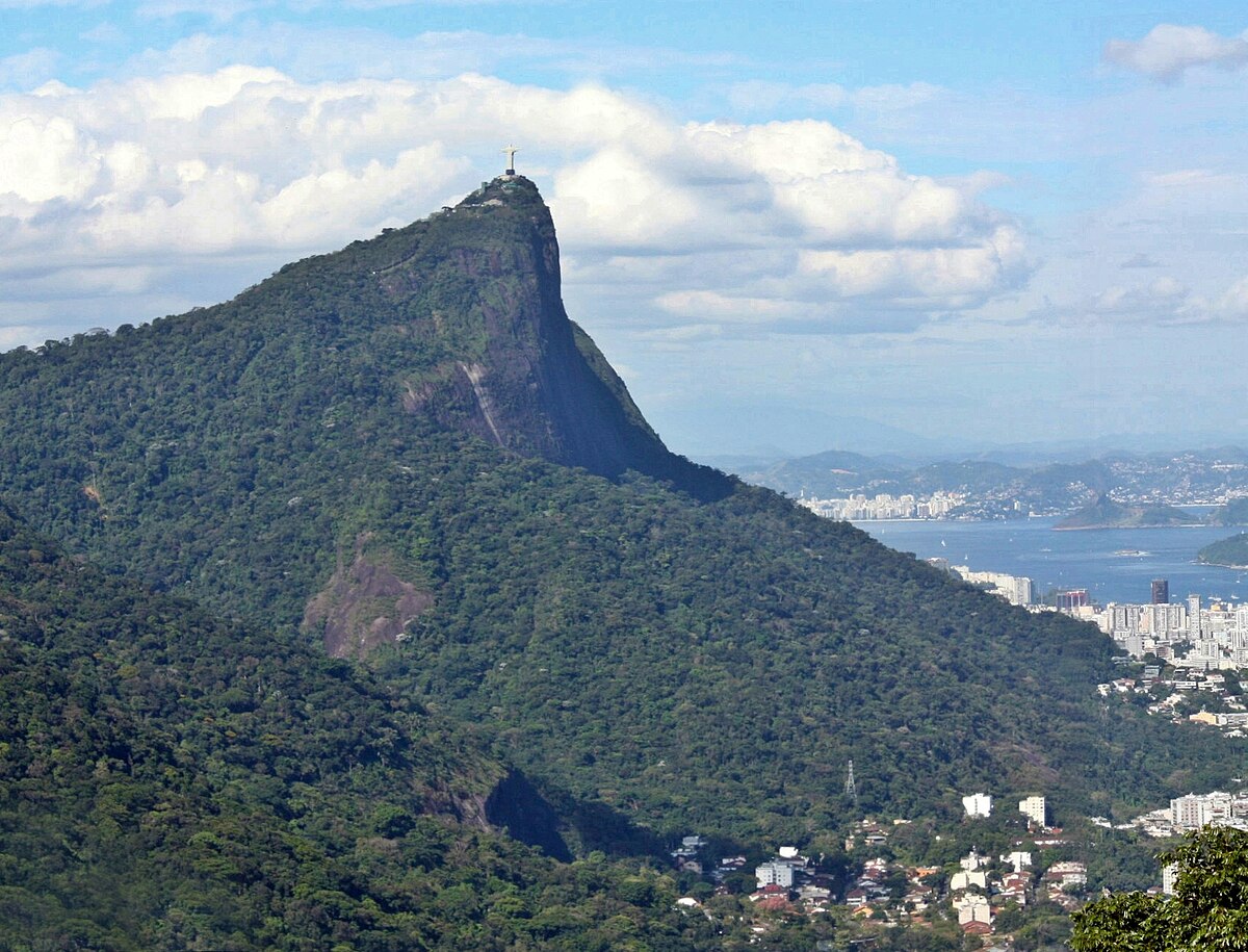 Discover the Wonders of Corcovado - A Day Tour from Sierpe with Ficus ...